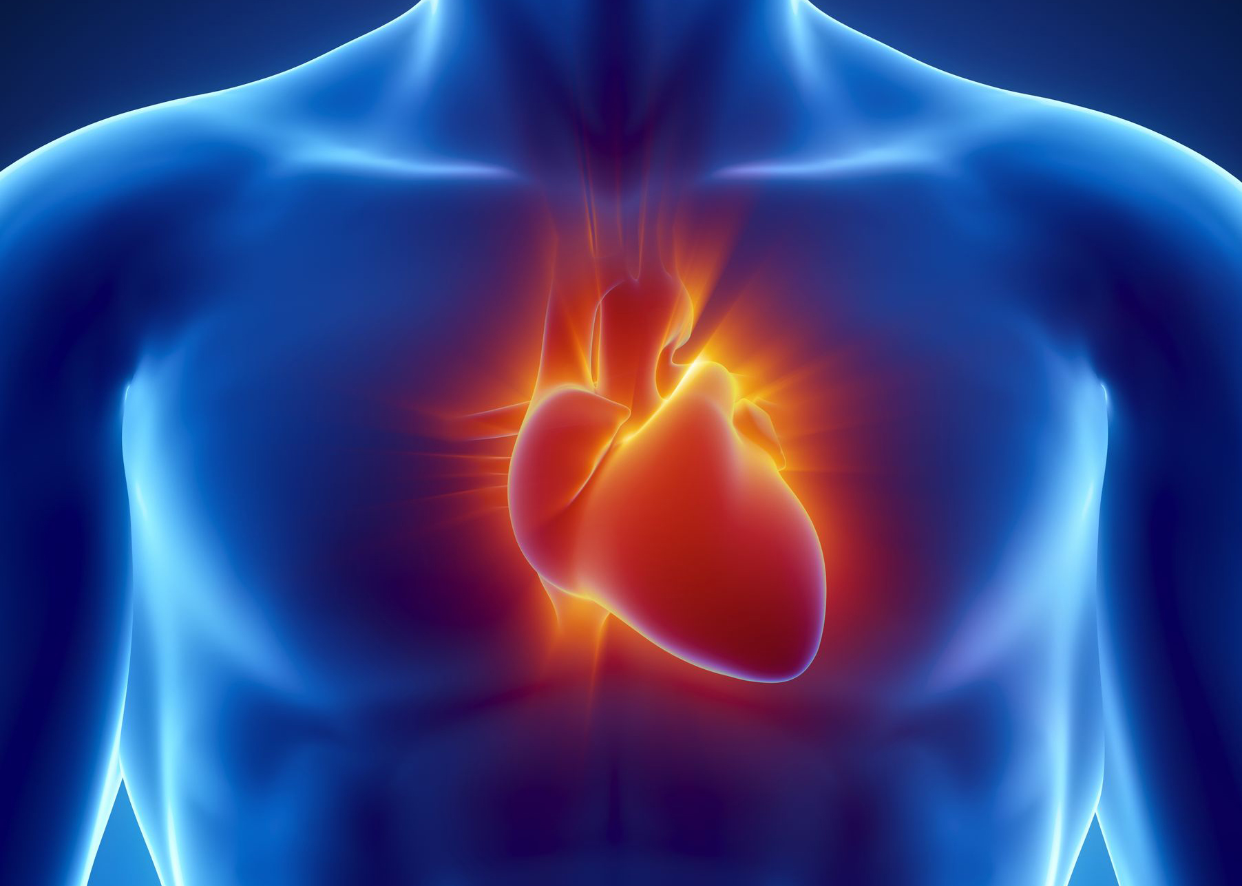 Enfermedades cardiovasculares y factores de riesgo - TVSana