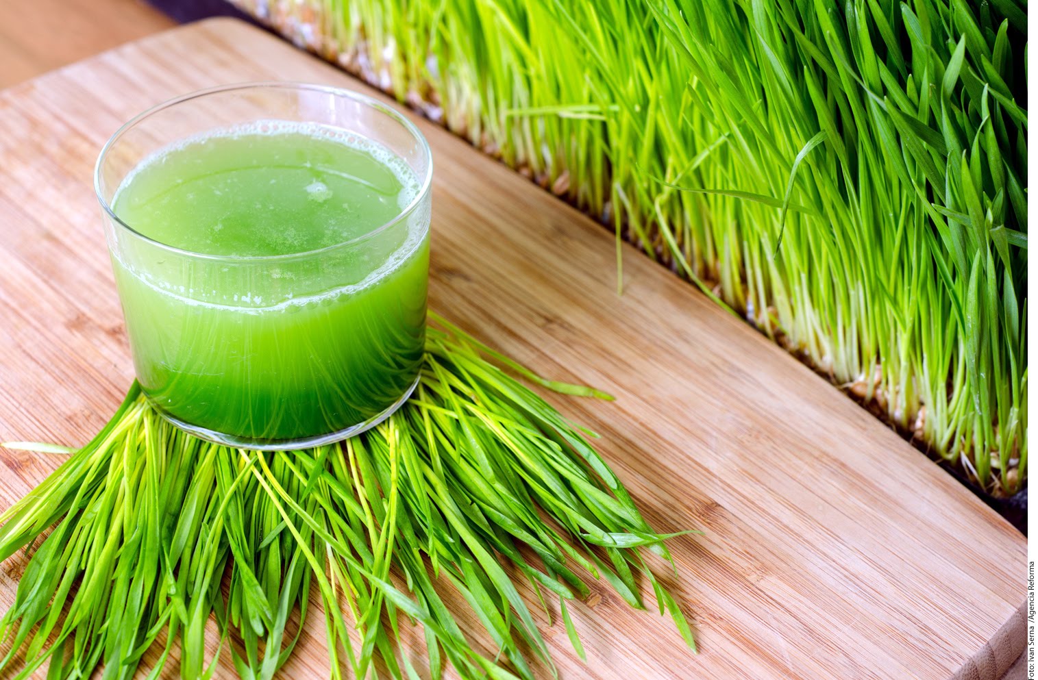 Beneficios de la ingesta de jugo de pasto de trigo orgánico - TVSana