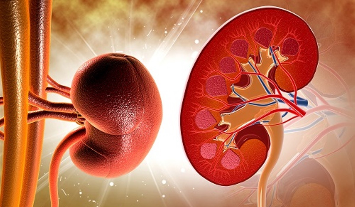 8 reglas de oro para cuidar su riñón - TVSana