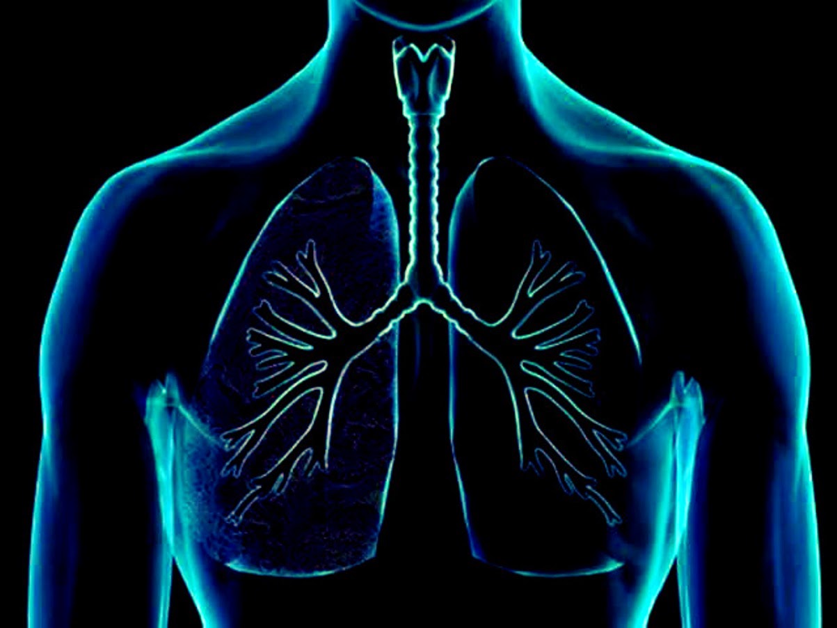 Seis consejos para tener pulmones saludables - TVSana