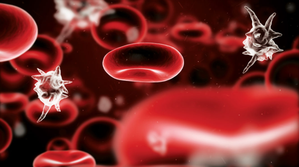 Septicemia, qué es y cómo se produce