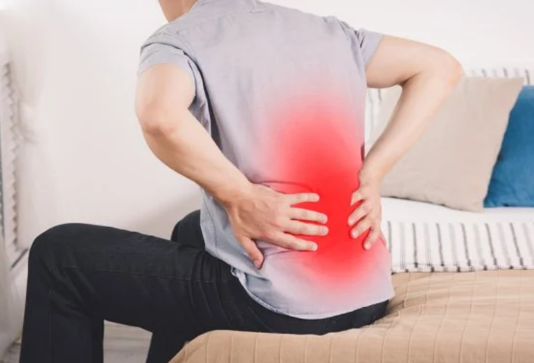 Riñón: Cuál es su función y qué factores lo pueden afectar - TVSana