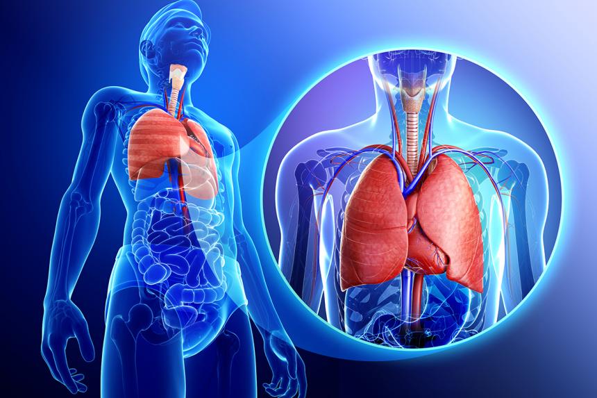 ¿Qué es la Hipertensión Pulmonar?
